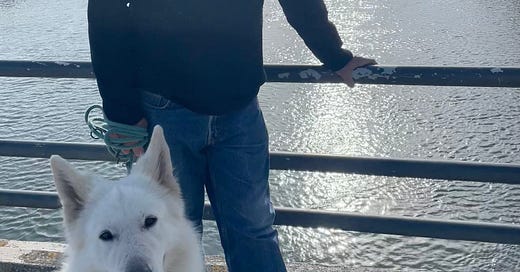 Far away - by J. F. Riordan