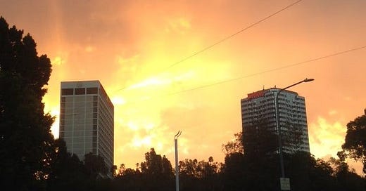 Steve Emig: The White Bear's Substack | Substack