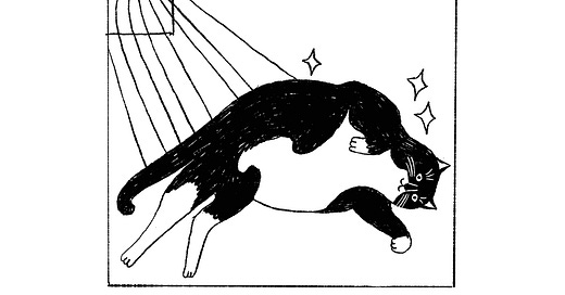 Slowpoke | Carson Ellis | Substack