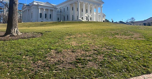 Virginia Political Newsletter | Brandon Jarvis | Substack