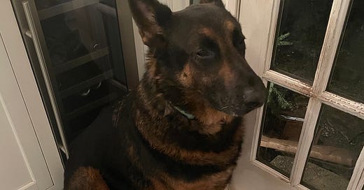 J.F. Riordan; Reflections on a Life in Exile | J. F. Riordan | Substack