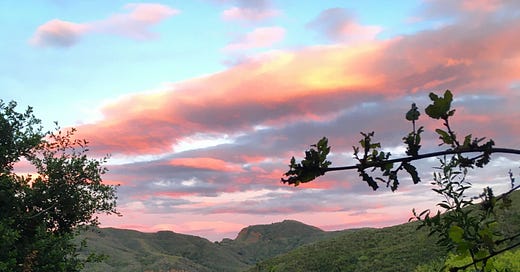 Shangrilogs | Kelton Wright | Substack