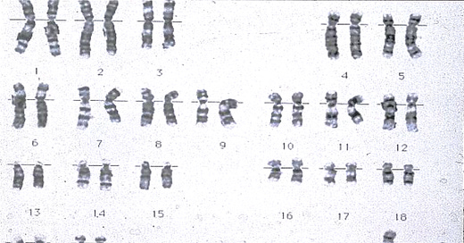 The Lactation College on Substack | Barbara L. Philipp, MD | Substack