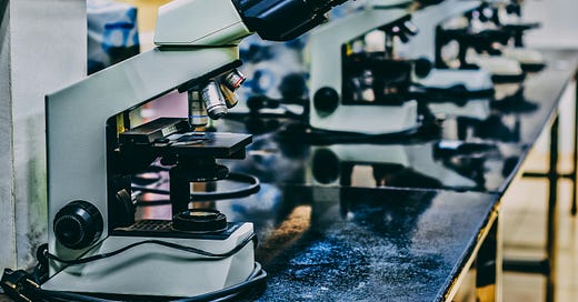 Capital Light | Luke Wolgram | Substack