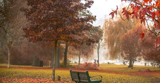 Meghan O'Rourke's Substack | Substack