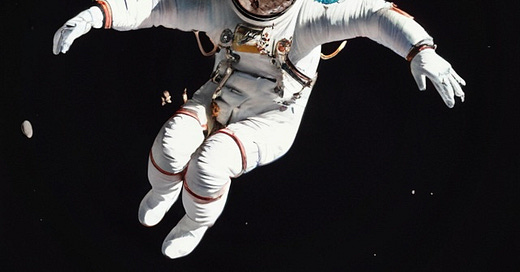 100% Assessment | Matthew Evans | Substack