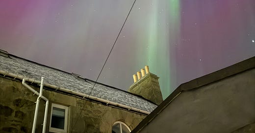 haver & sparrow | Charlene Storey | Substack