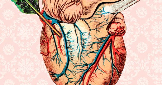 Oldster Magazine | Sari Botton | Substack