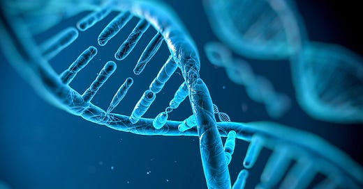 sebjenseb | Sebastian Jensen | Substack