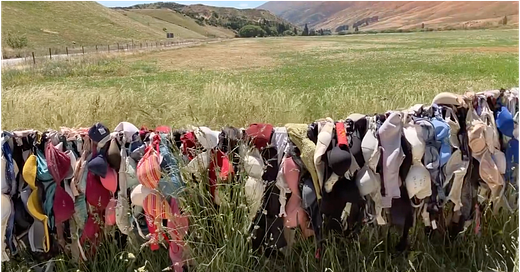 Oldster Magazine | Sari Botton | Substack