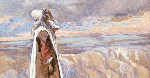 Biblical Theology | Mitch Chase | Substack