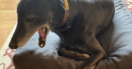 South Bound: David's Substack | David Wesley Williams | Substack