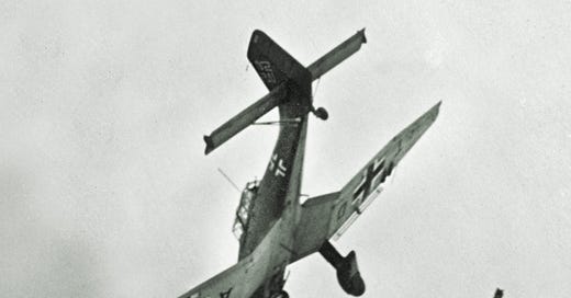 Liquid Bird | Substack