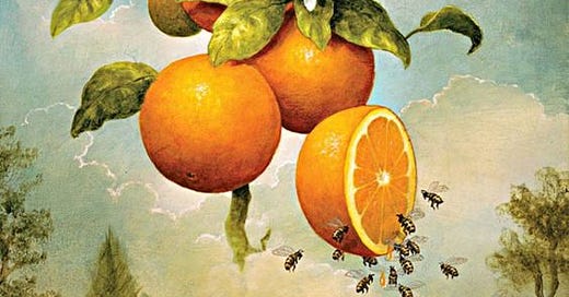 The Orange & Bee | Substack