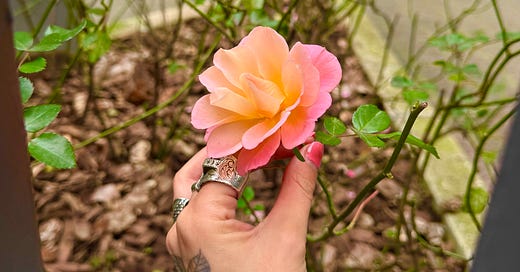 Florence Given's Substack | Substack