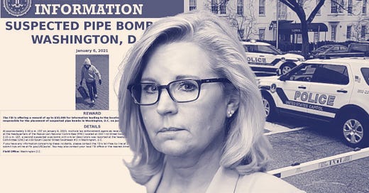 Declassified with Julie Kelly | Substack