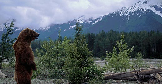 Bonner Private Research | Substack