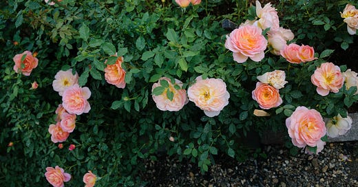 The Map is Mostly Water | Simon Sarris | Substack