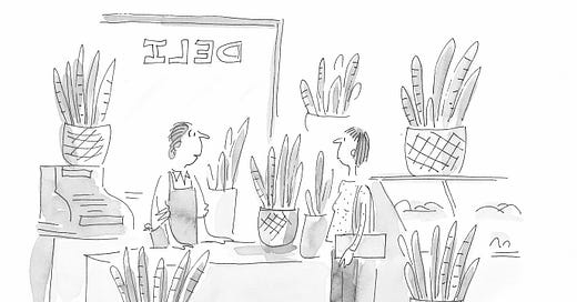 Seeing Things | Liza Donnelly | Substack