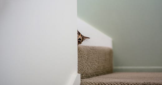 Letters of Note | Shaun Usher | Substack