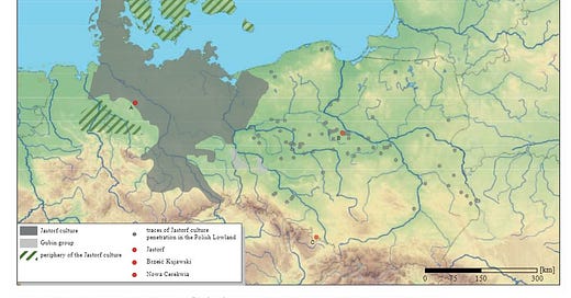Nemets | Peter Nimitz | Substack