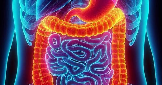 Creative Late Bloomers | Sue Kusch | Substack