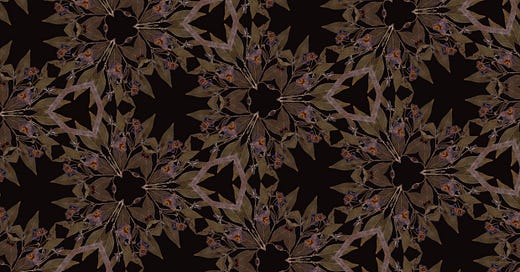 Starhan Garden | Substack