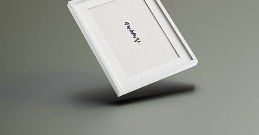 Starhan Garden | Substack