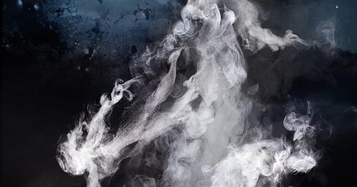 The Orange & Bee | Substack