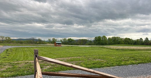 House of Green | Alexandra Fasulo | Substack