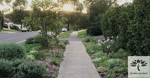 The Shady Lanes Project | Gayle Dallaston | Substack