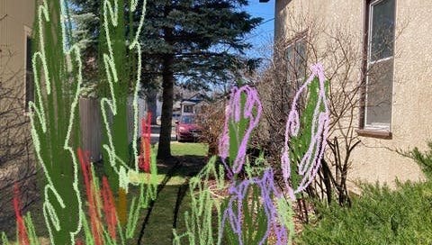 Design Your Wild | Heather Evans | Substack