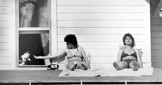 The first transmissions from Science House