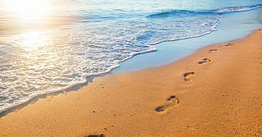 Restoration Bleeds Action | Sharon Beth O'Maley | Substack