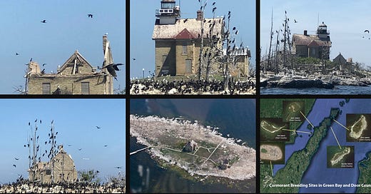 J.F. Riordan; Reflections on a Life in Exile | J. F. Riordan | Substack