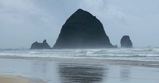 Sarah Kendzior’s Newsletter | Substack