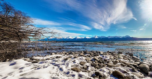 TRANSFORM with Marianne Williamson | Substack