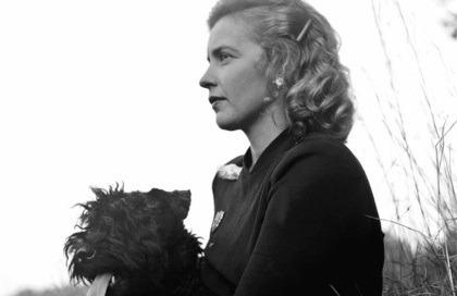 MOONBOW | Taylor Sterling | Substack