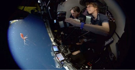 CODAME ART+TECH | Substack