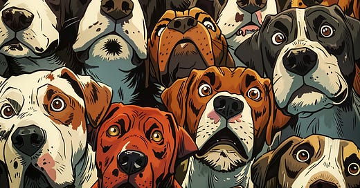 Andrew Doyle | Substack