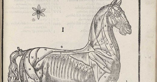The Hinternet | Justin Smith-Ruiu | Substack