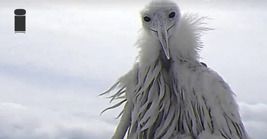 The Opium Bird: How a Fake AI Creature Conquered the Internet