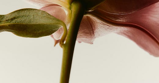 Witchy Kid | Ocean Pleasant | Substack