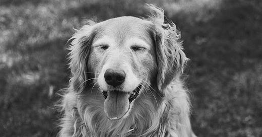 By Nina Hendrick | Substack