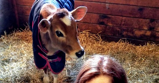 Wordy Bird | Susan Orlean | Substack