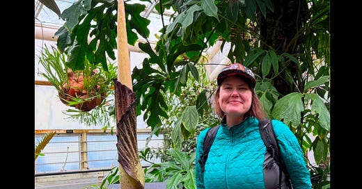 Media Musings with Cassandra Brooklyn | Substack