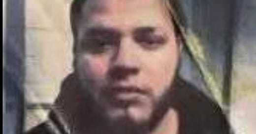 Ray Hanania's Syndicated Columns | Substack