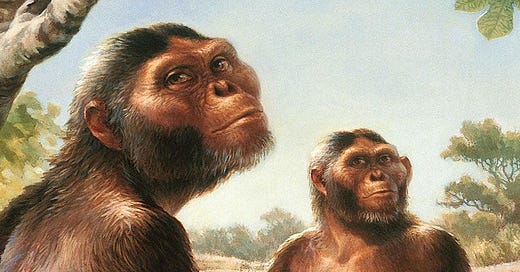 Did Australopithecus afarensis Run Like Modern Humans? New Insights ...