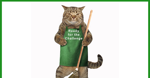 Writerly Things with Brooke Warner | Substack