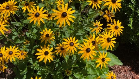 Beth’s Substack | Beth Patterson | Substack